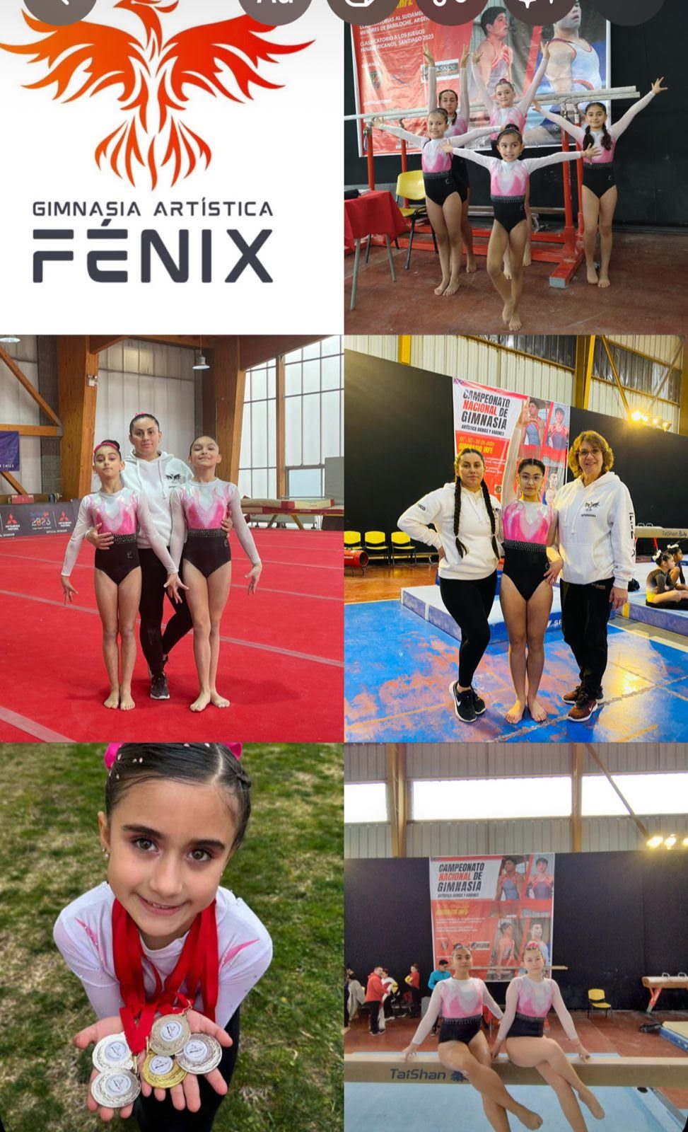 Club Fénix de Curicó brilla en campeonato Nacional de Gimnasia ...