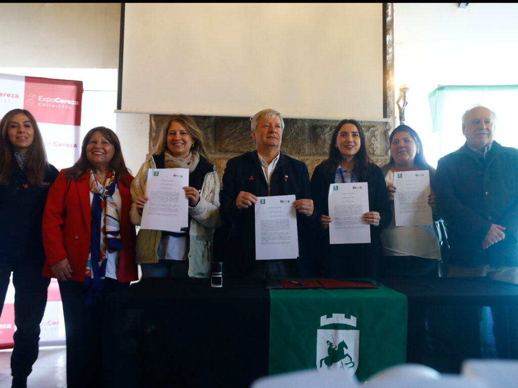 Anuncian Expo Cereza Chile – Curicó 2025: un impulso para la ...